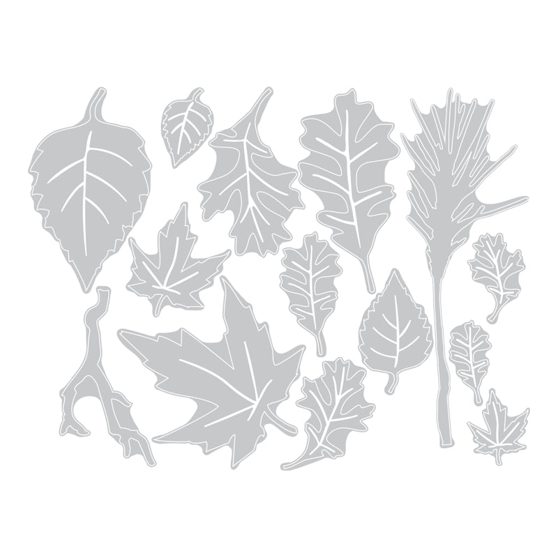 Sizzix Thinlits Die Set 14PK - Fall Foliage by Tim Holtz – Sizzix.co.uk