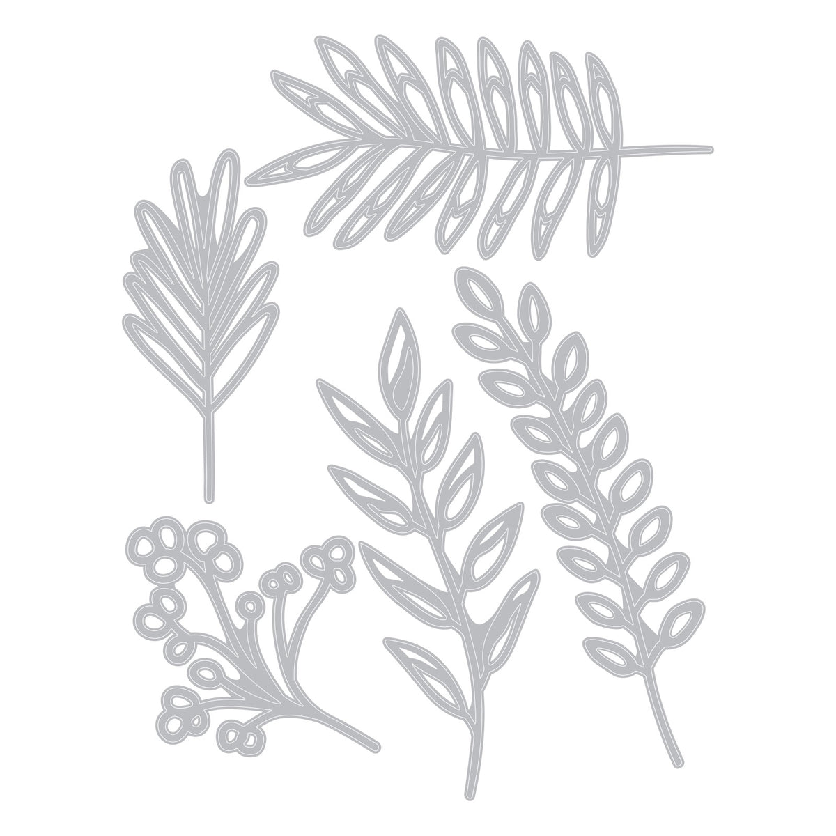 Sizzix Thinlits Die Set 5PK - Delicate Leaves – Sizzix.co.uk