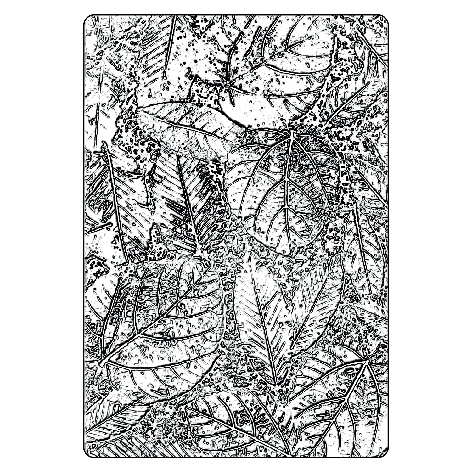 Sizzix 3-D Texture Fades Embossing Folder - Foliage Large/A5 by Tim Ho ...